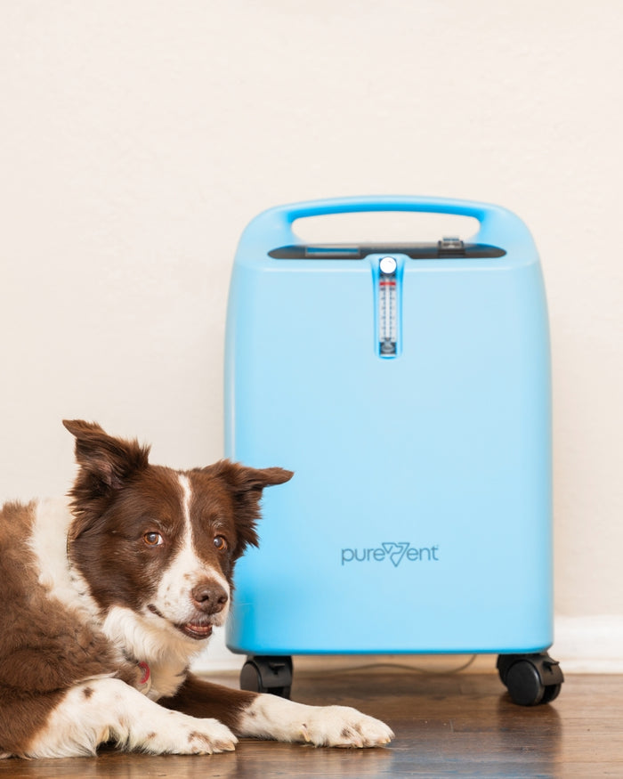 Oxygen For Dogs & Cats – Rescue Pet Oxygen | Pawprint Oxygen