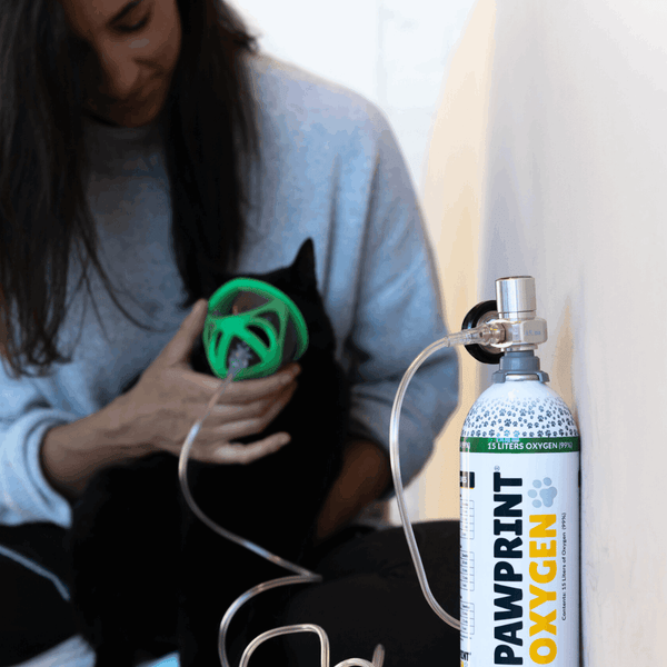 Pet Oxygen Kits for Cats from Pawprint Oxygen