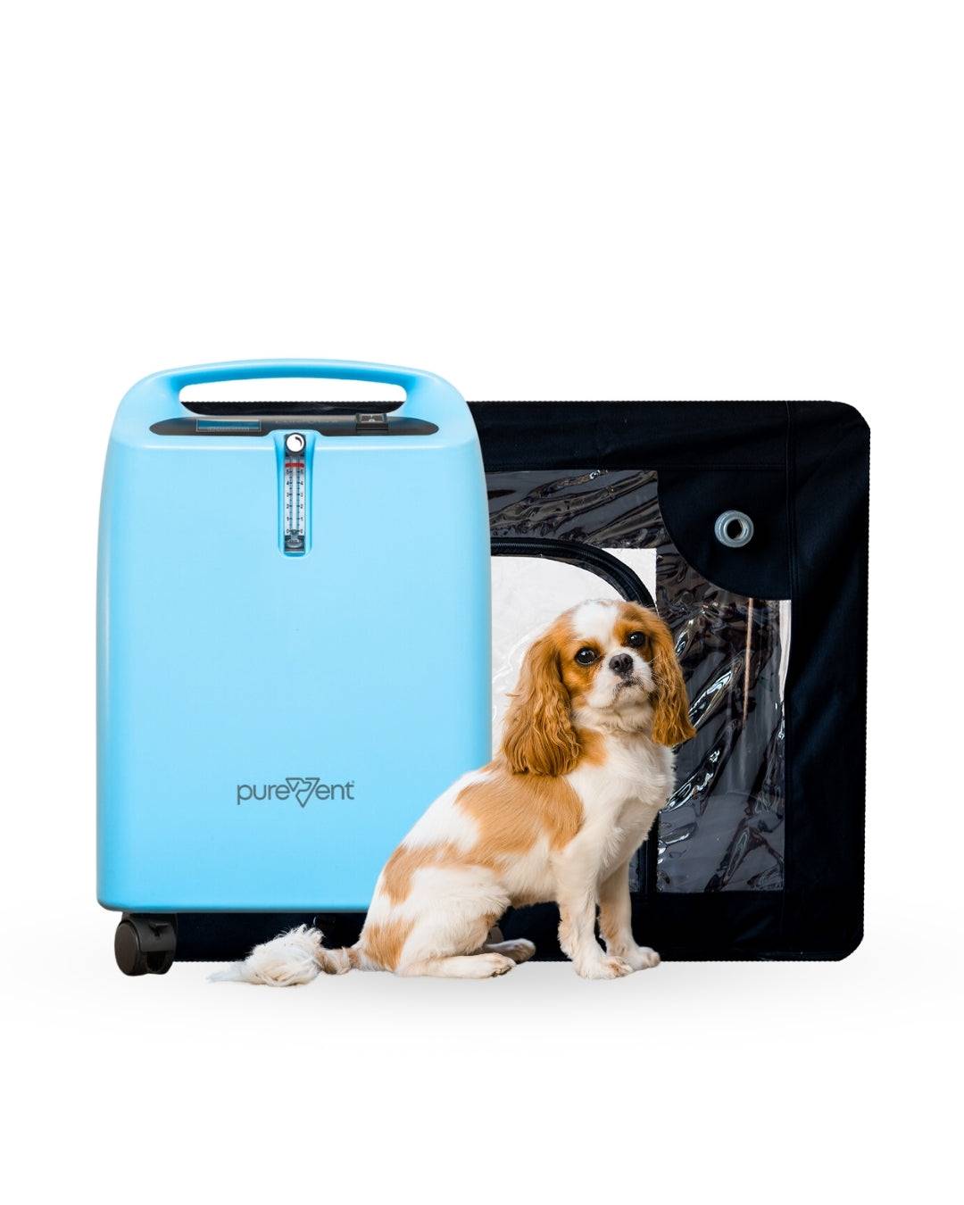 Extended Oxygen Therapy Bundle for Medium Pets, up to 25 lbs
