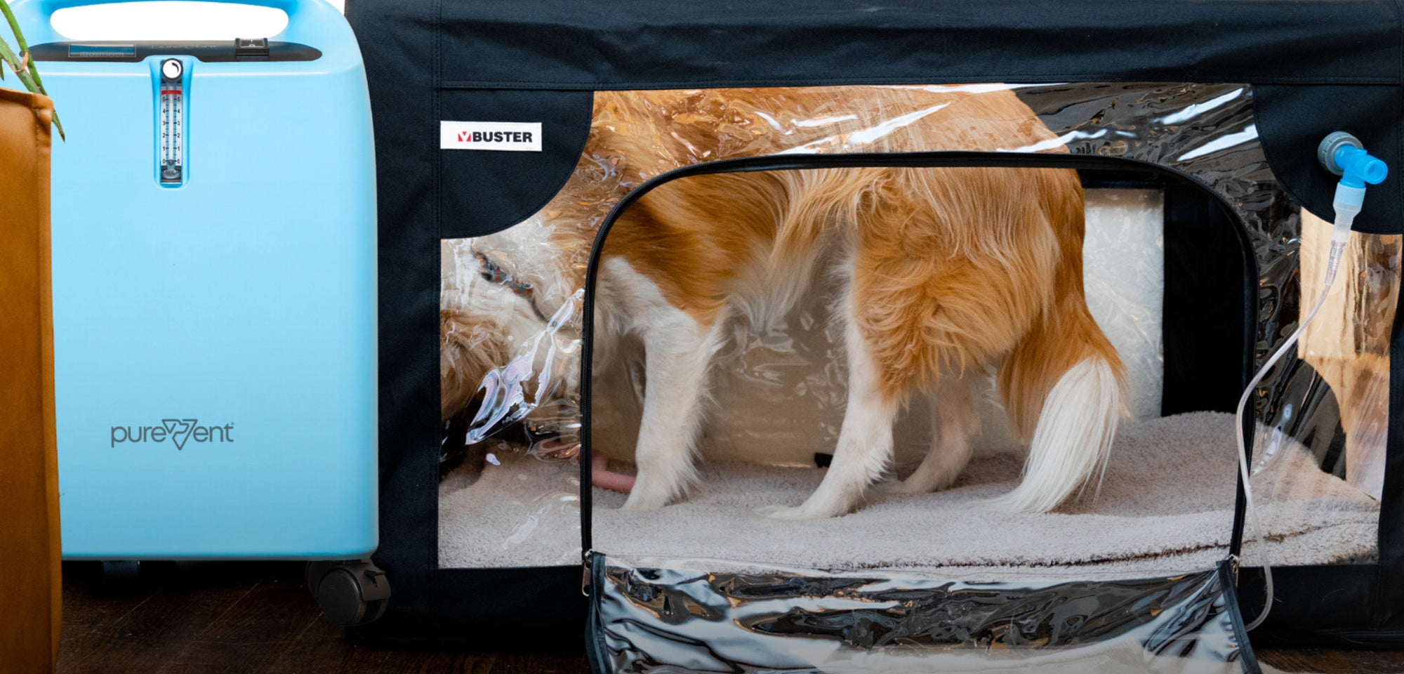 Pet Oxygen Cage, Buster ICU