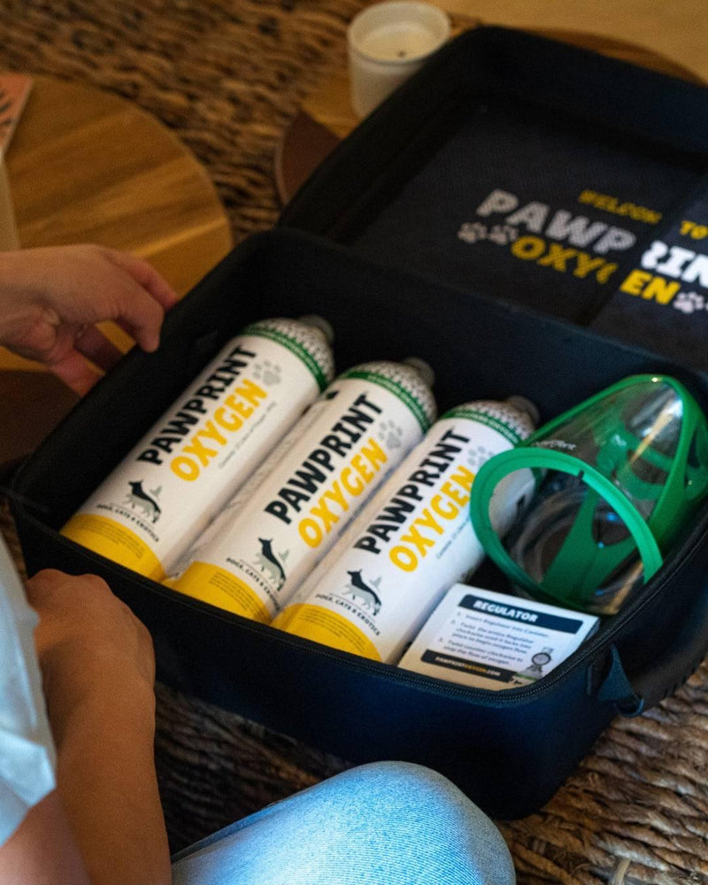 Pet Oxygen Kits for Dogs from Pawprint Oxygen
