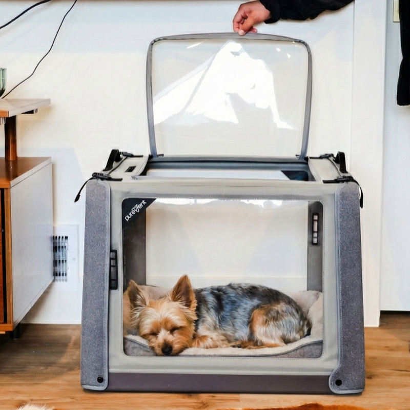 Normal Dog Heart Rate: How to Support Your Dog’s Heart