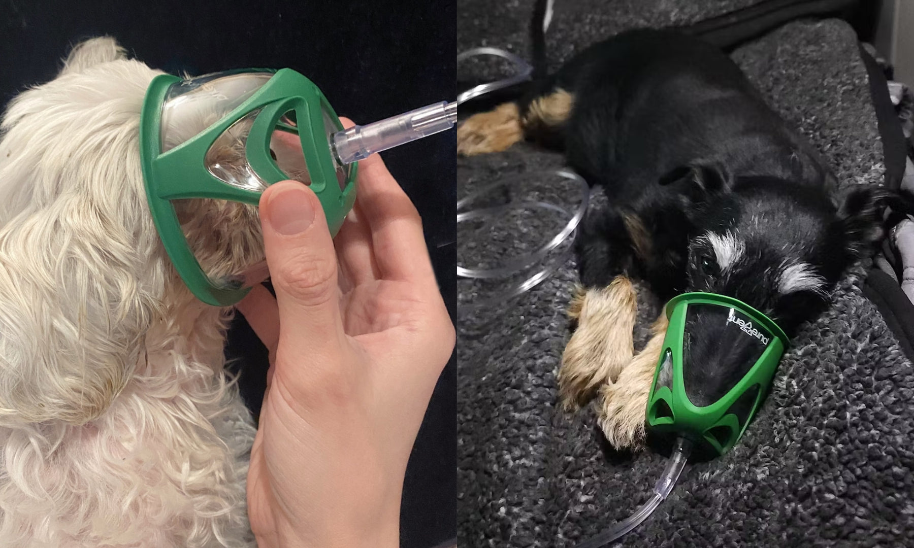 15L Pet Oxygen Canister | Portable Oxygen Supply for Pets