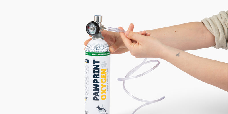 Oxygen Canisters For Pets